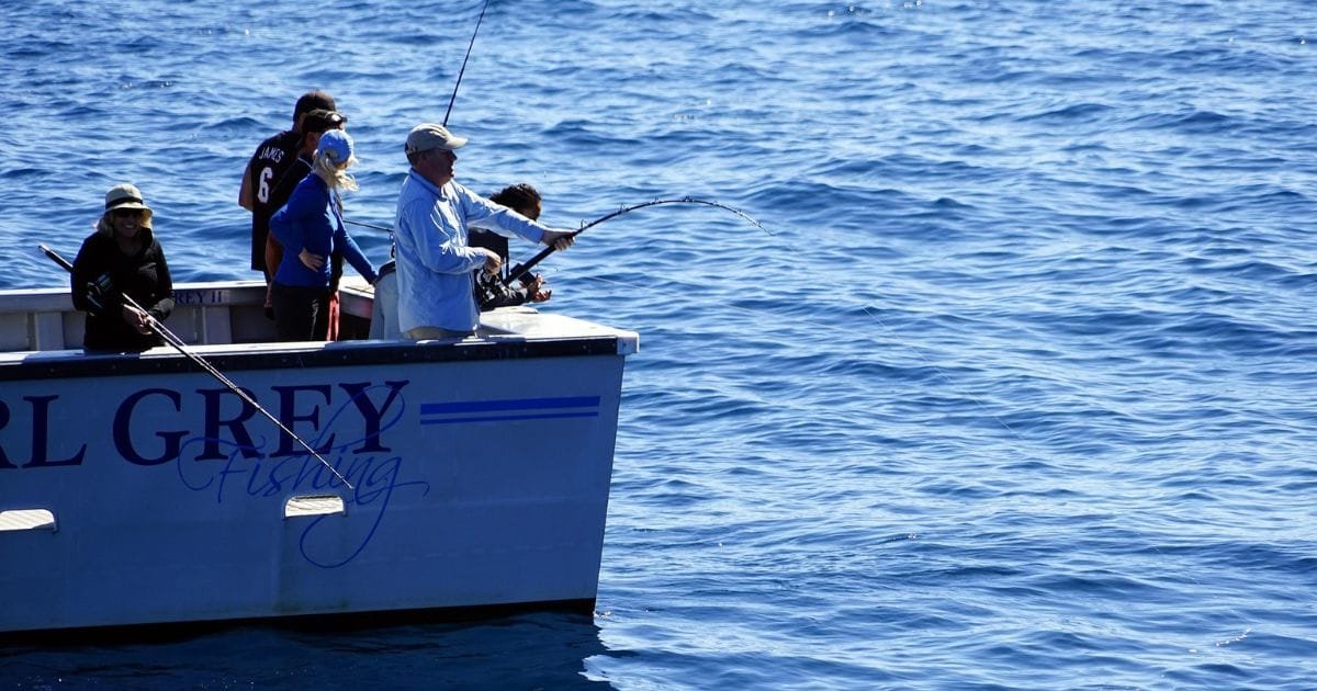 How To Catch Fish | Guide For Beginners