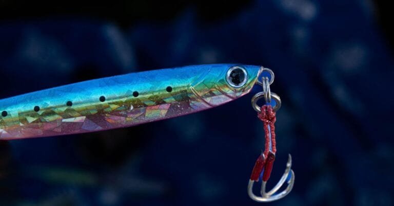 How To Catch Fish | Guide For Beginners