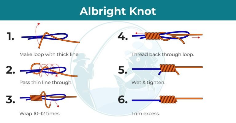 How To Tie The Albright Knot For Fishing: A Step By Step Guide To ...
