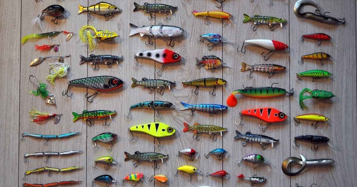 Fishing Bait | How To Pick The Right Bait For Every Fish For 2025